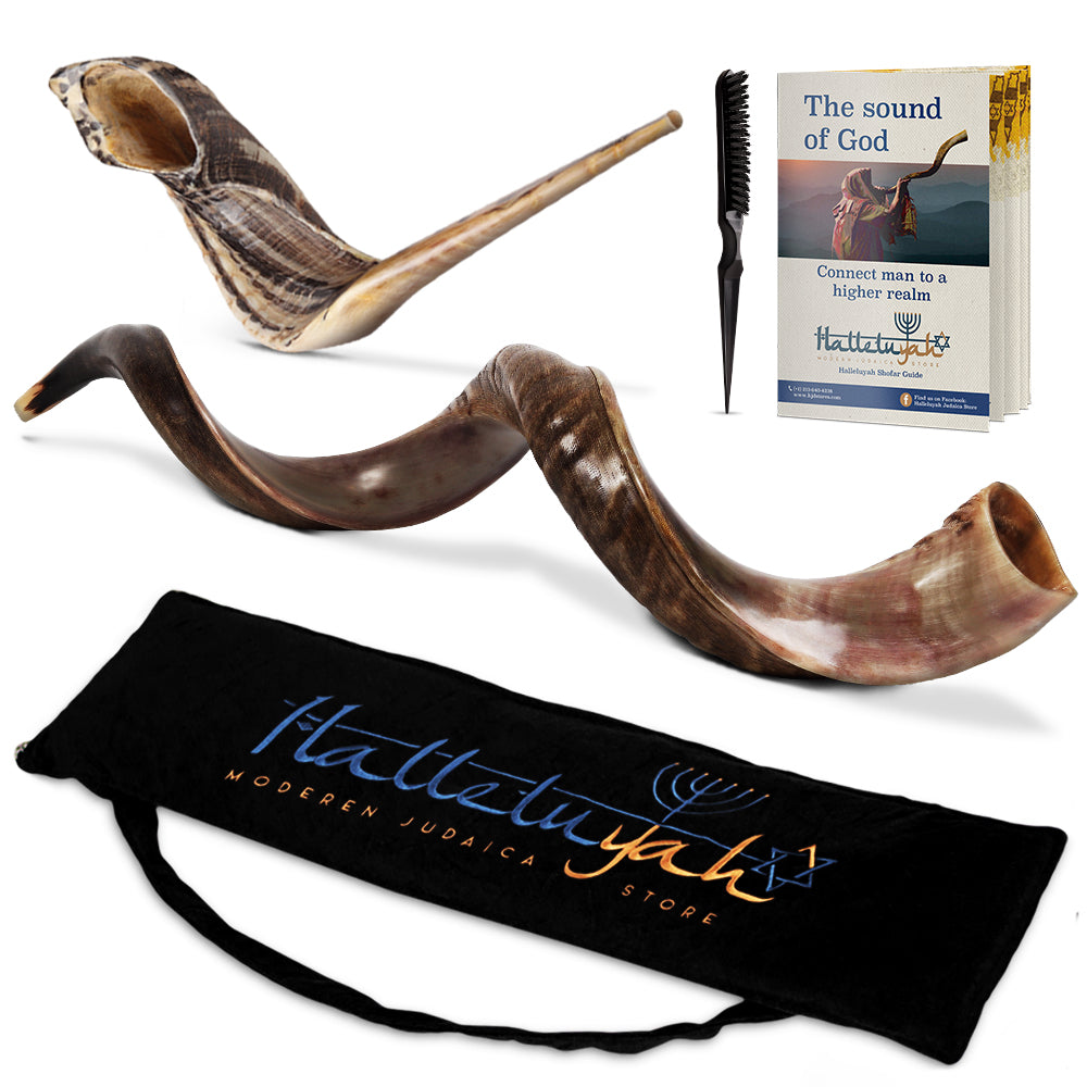 Shofars | HalleluYAH | Authentic Judaica From Israel – Page 2 – halleluyah